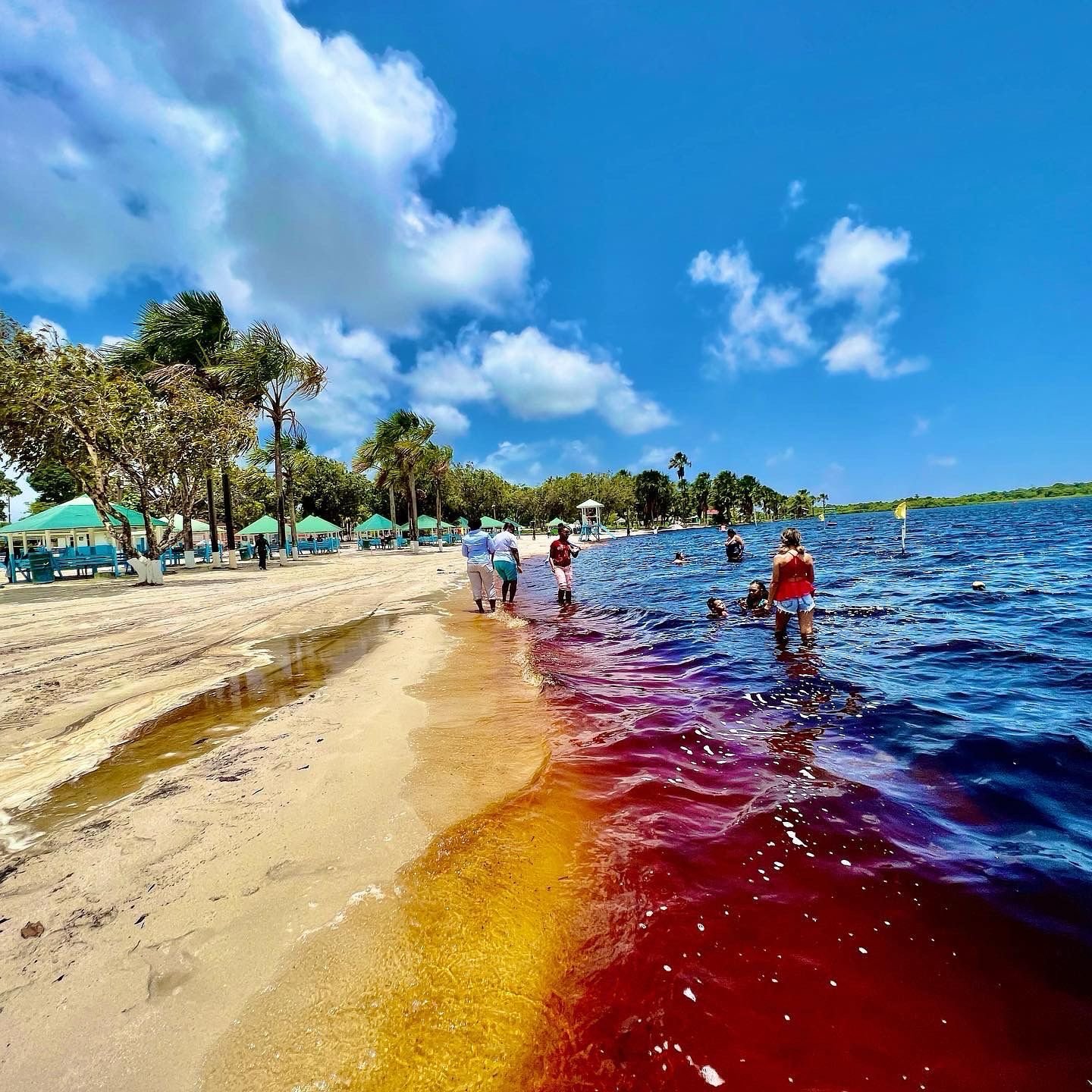 Essequibo Lakes Tour - Discover Essequibo